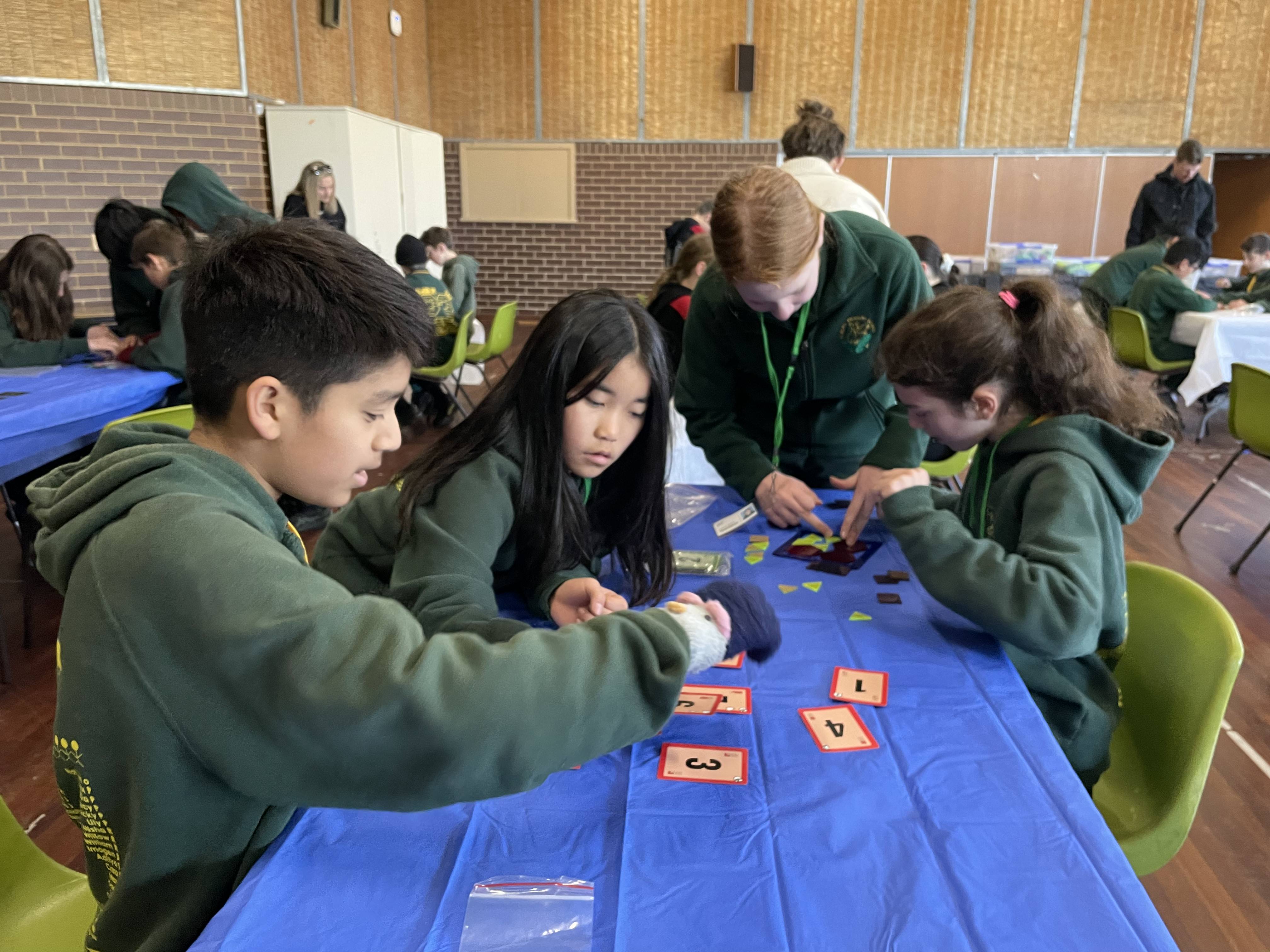 Student Excellence Program | Auburn Primary School