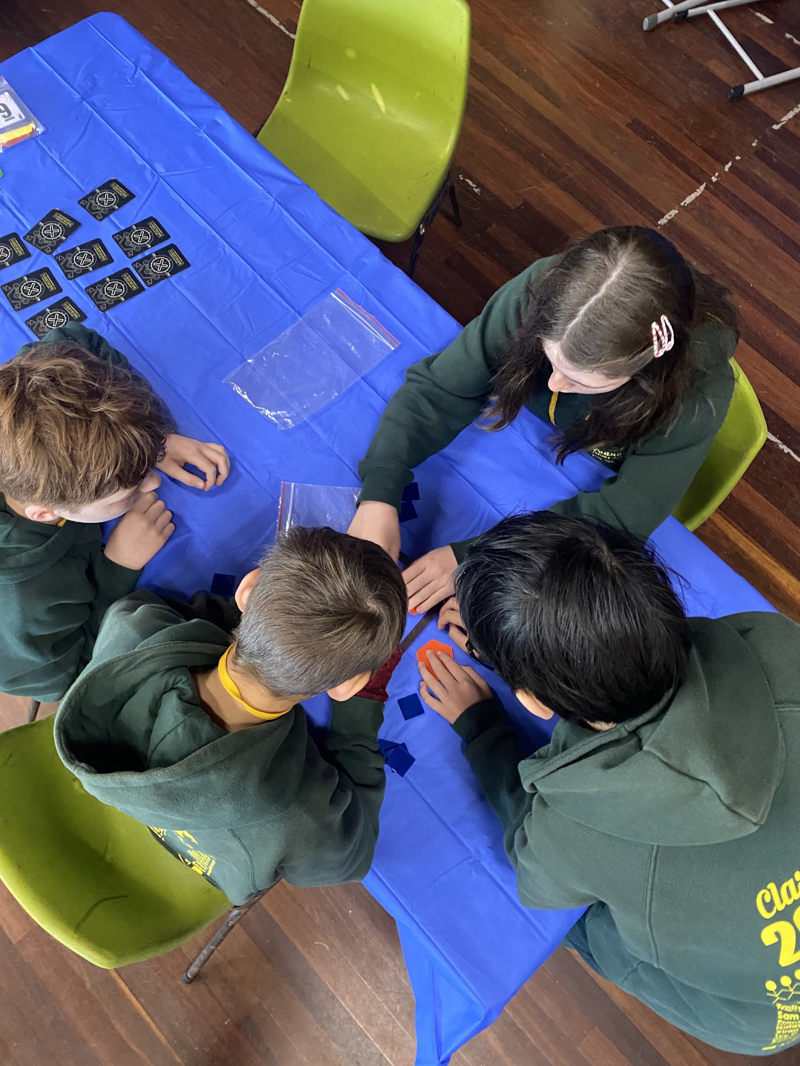 Student Excellence Program | Auburn Primary School