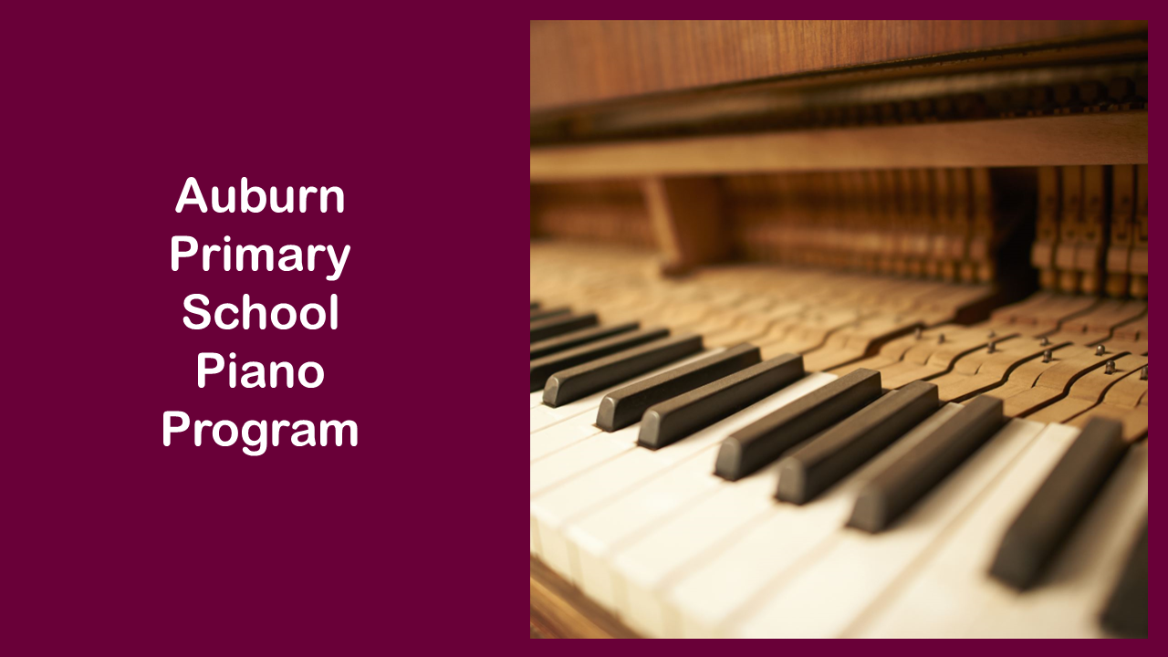 Extracurricular programs | Auburn Primary School